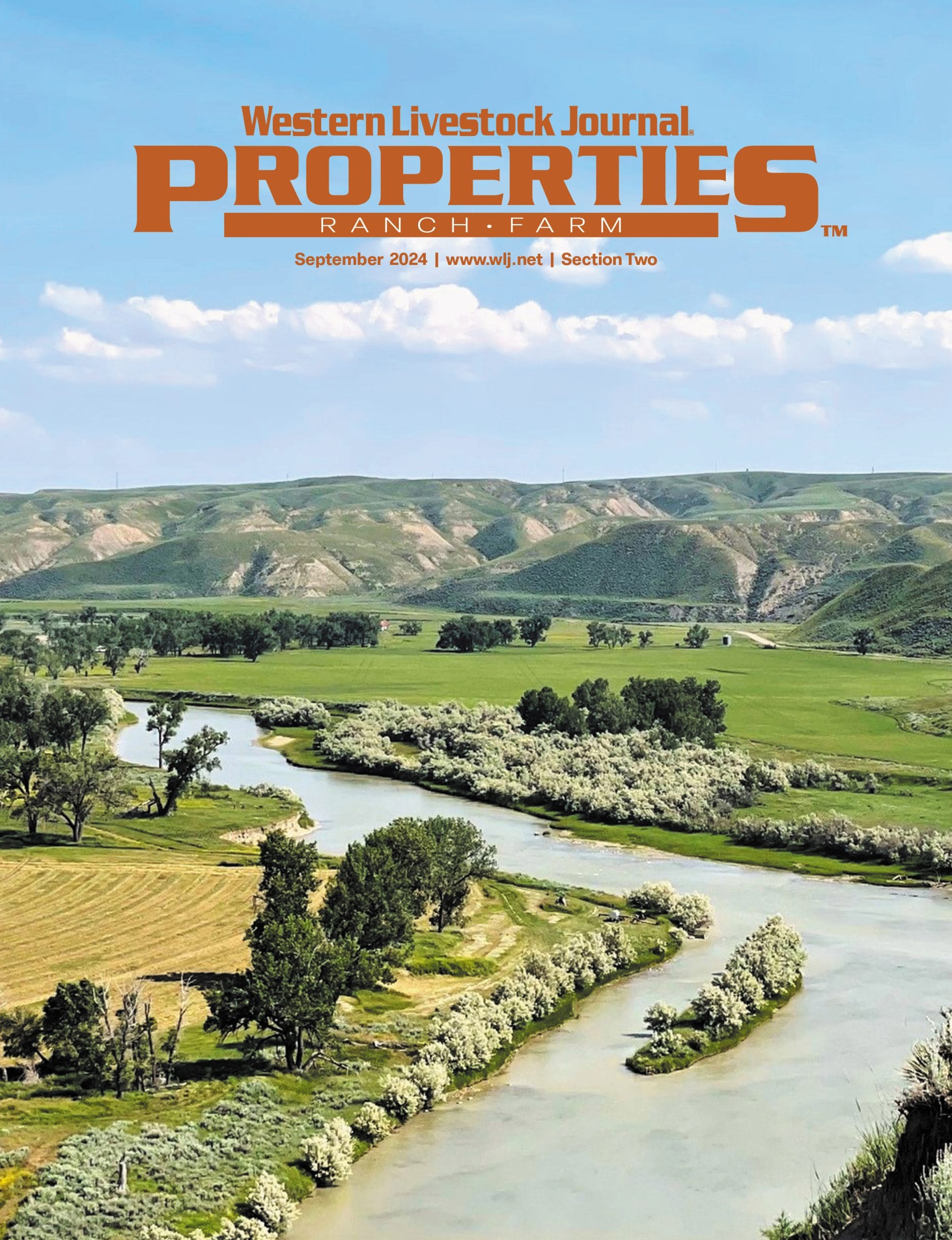 Livestock Market News | Cattle News | The National Livestock Weekly