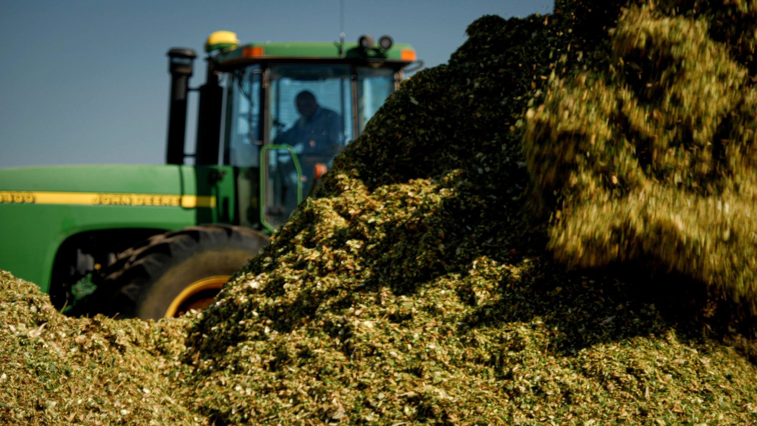 Buying corn silage to feed beef cows in winter | Western Livestock Journal