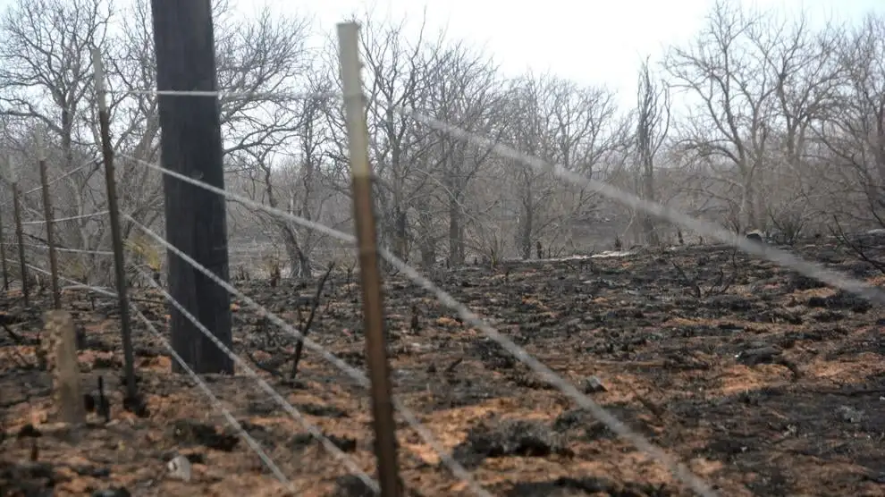 Protecting farms and ranches from wildfires | Western Livestock Journal